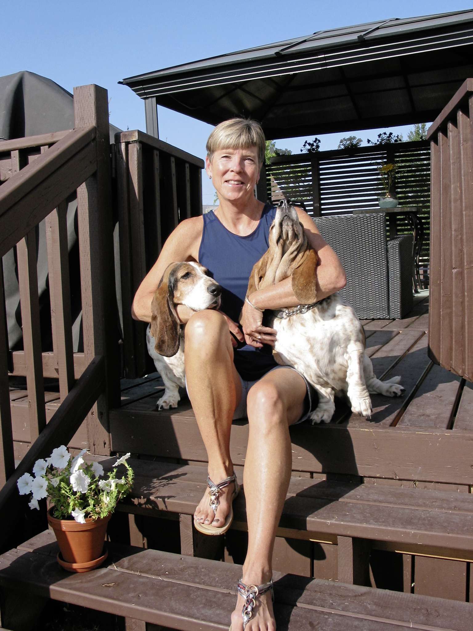 Offering comfort for furry clients – Our Communities