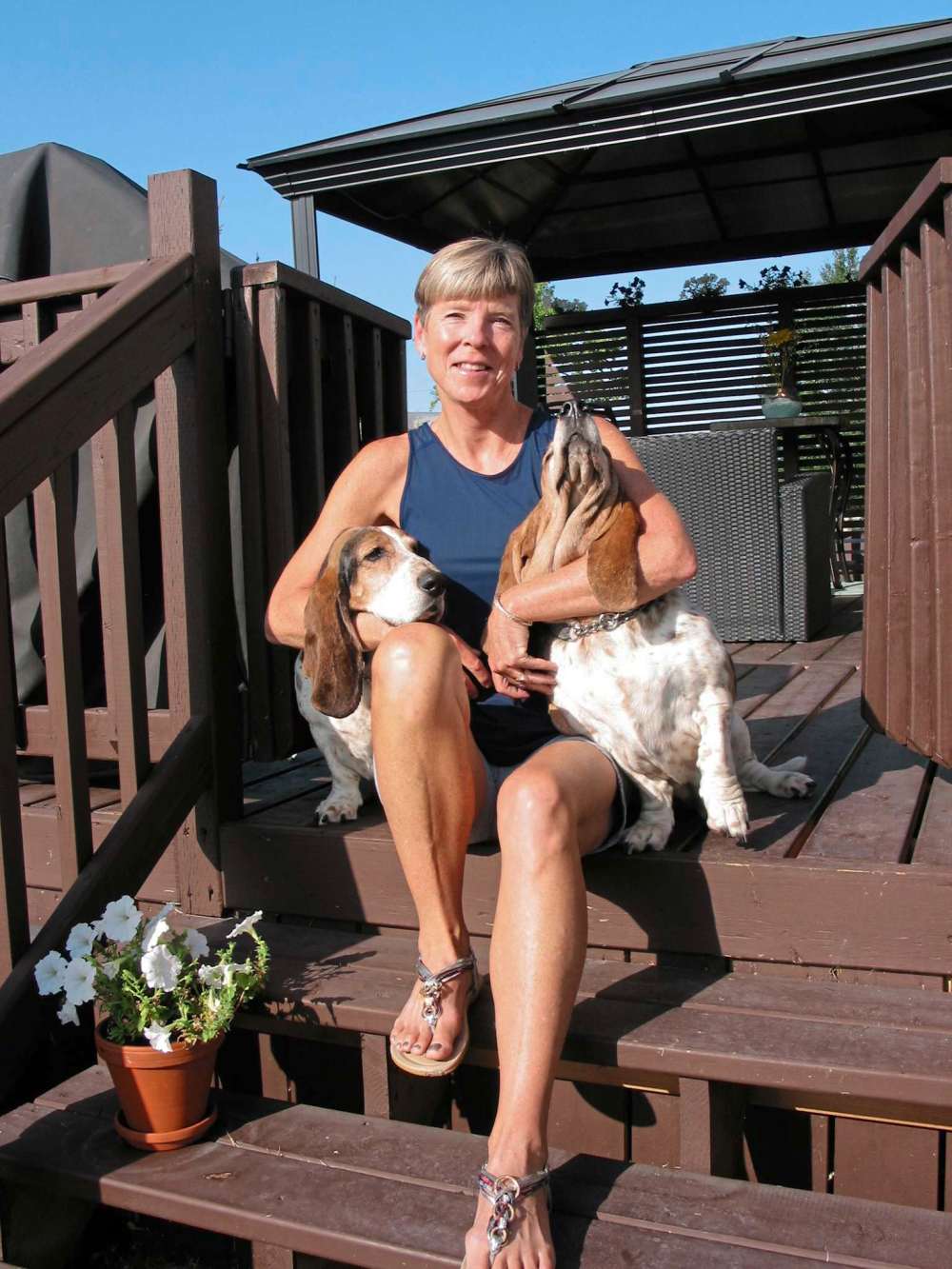 Offering comfort for furry clients – Our Communities