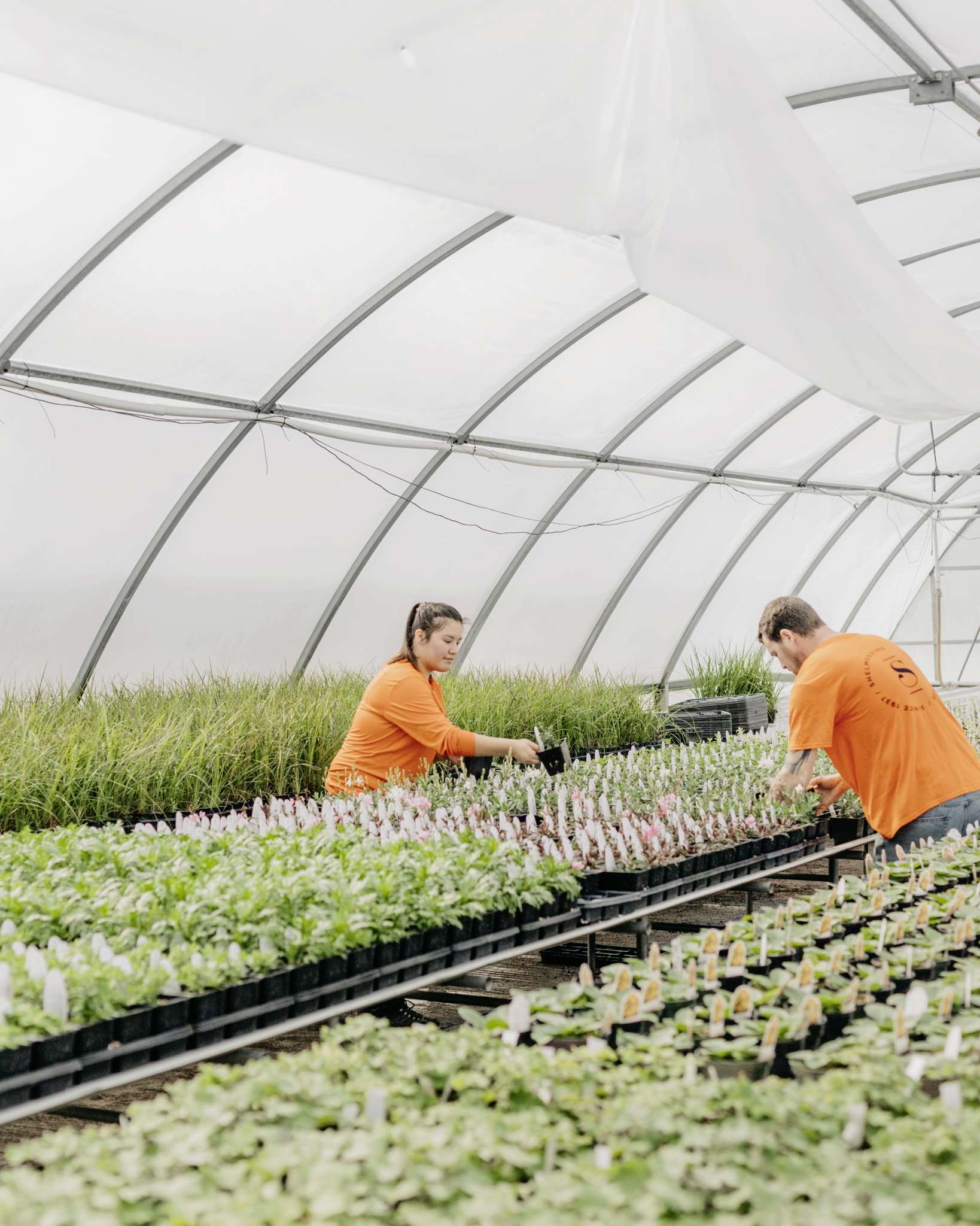 Garden centres prepare for spring – Our Communities