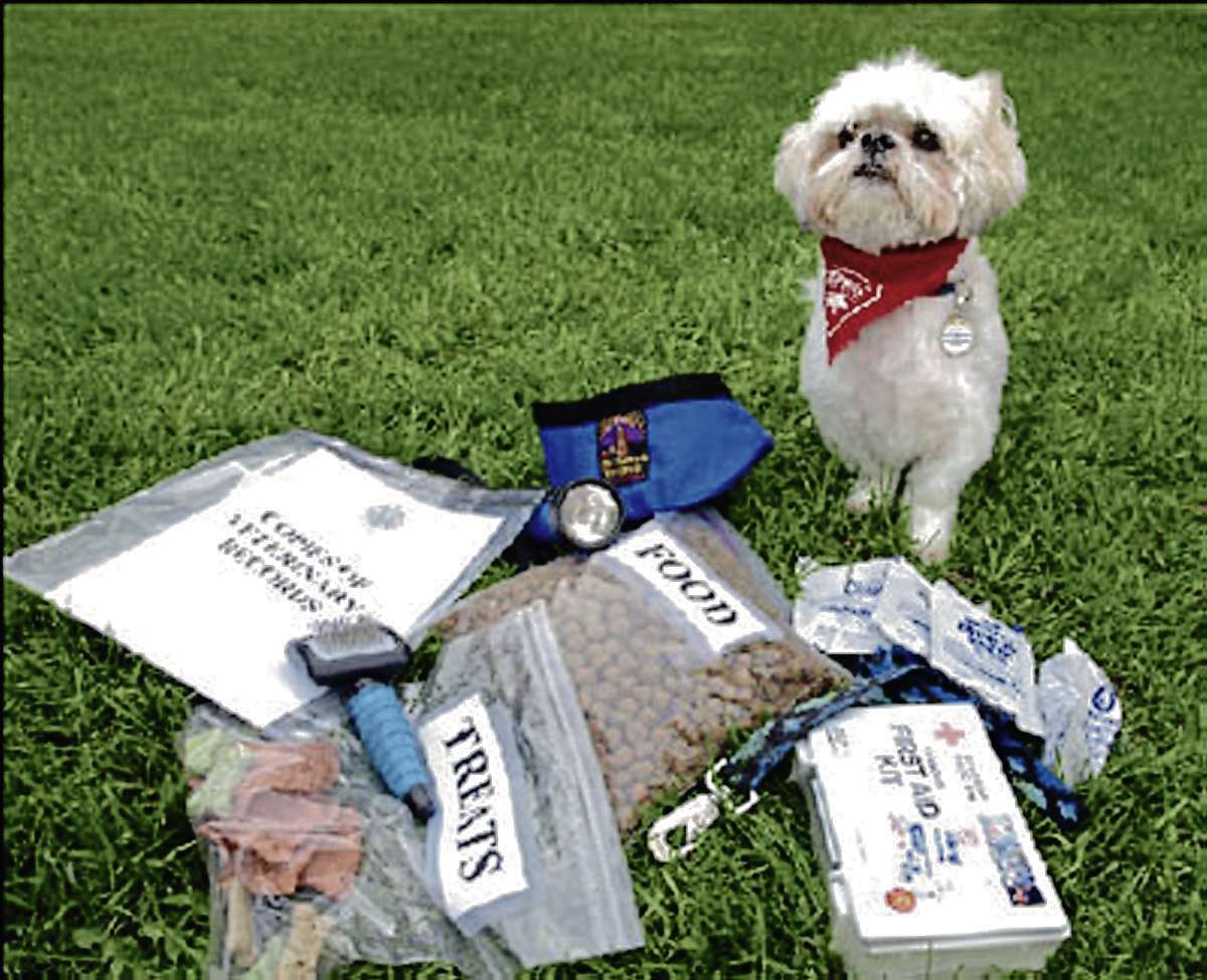 Planning can help save your pet – Our Communities