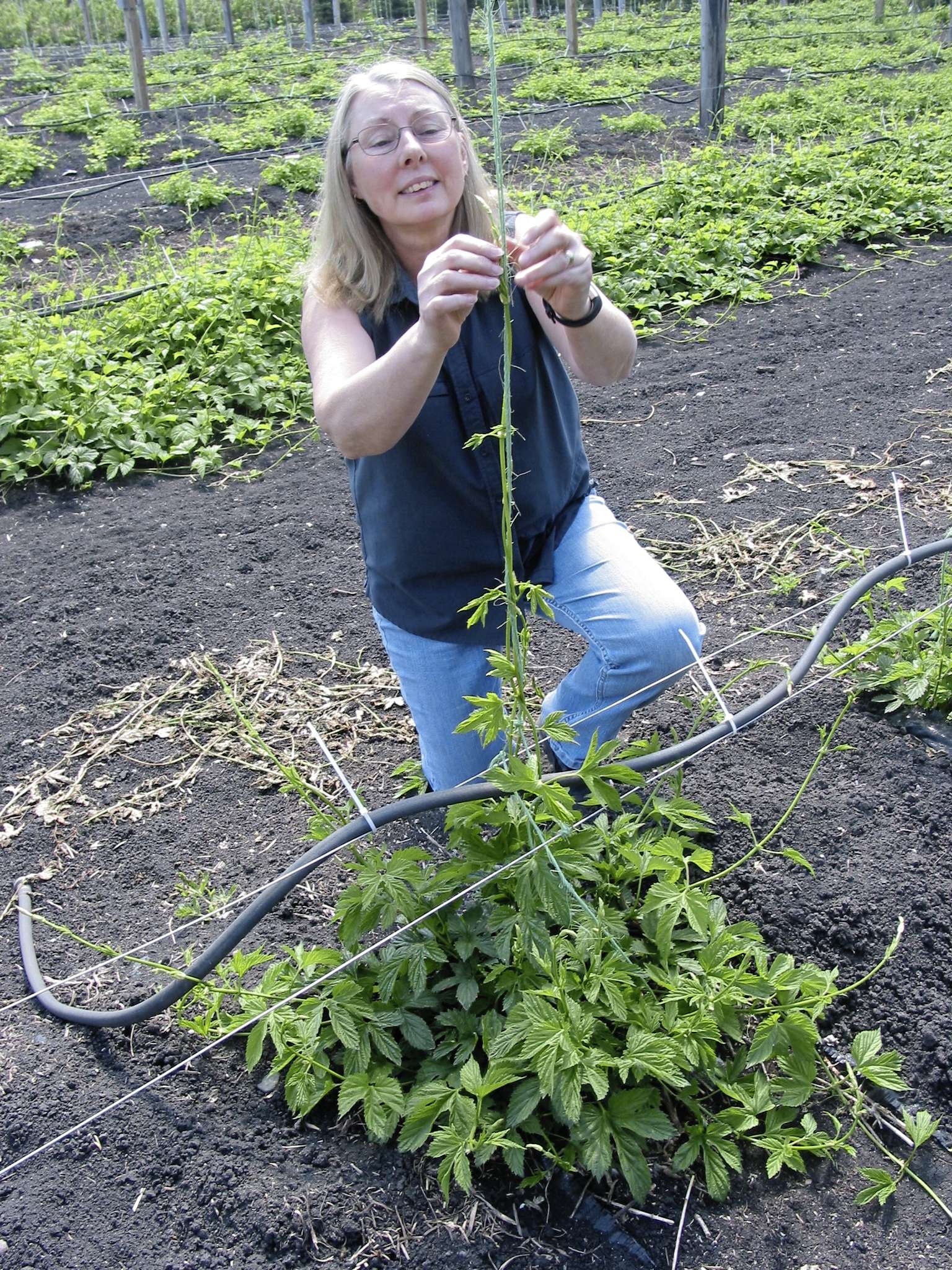 Cultivating a new crop – Our Communities