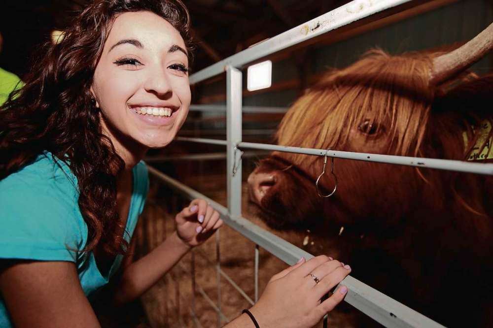 Red River Ex announces attractions – Our Communities
