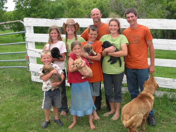 Making farm life real for city dwellers – Our Communities