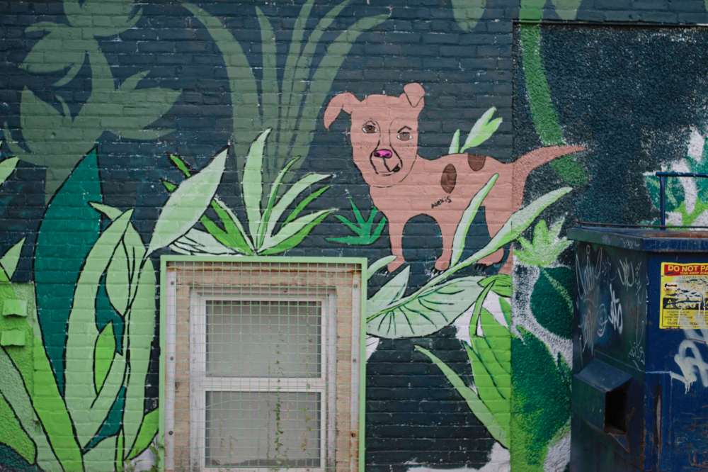 Back lane art – Our Communities