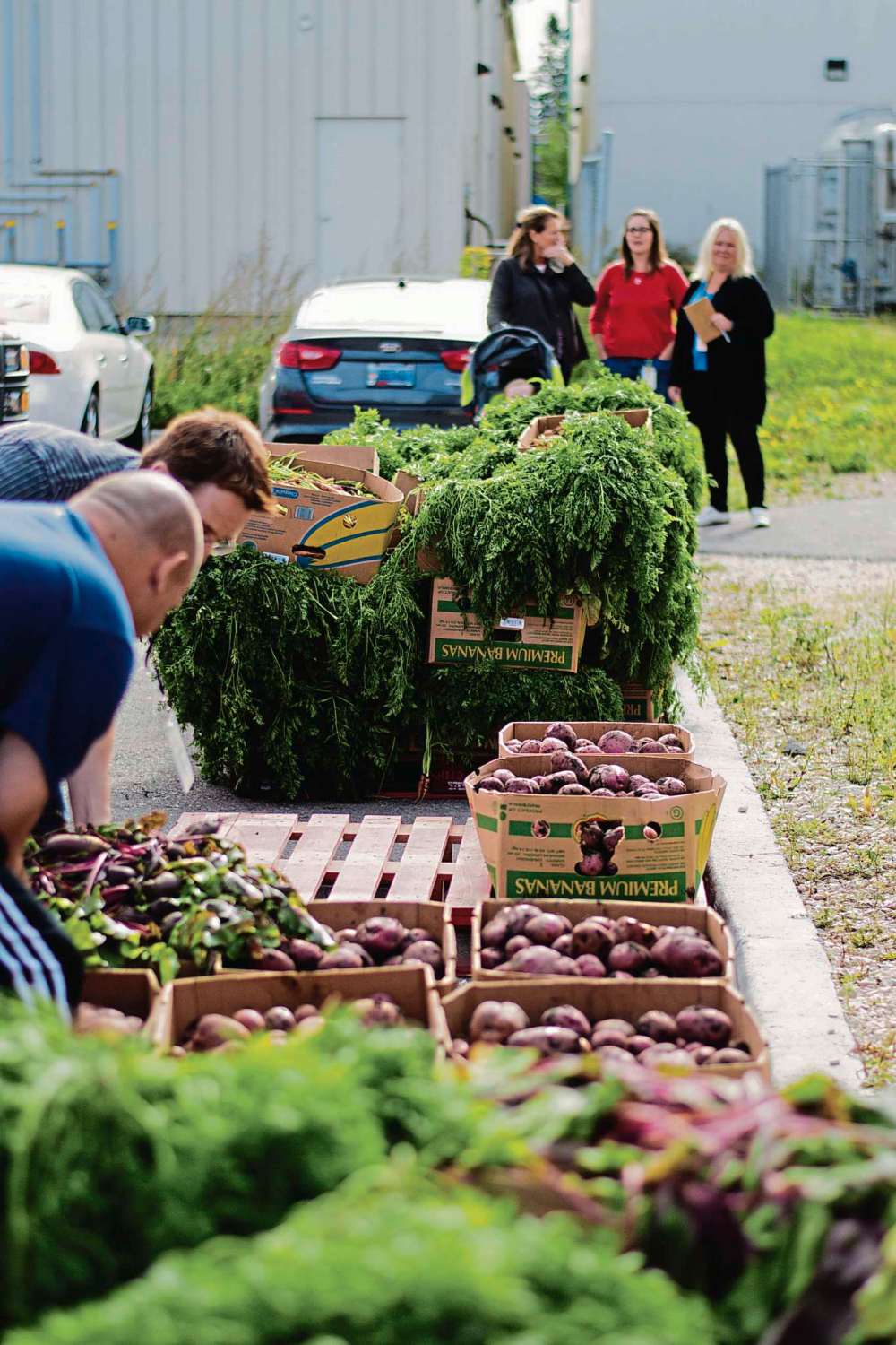 Bringing in the harvest – Our Communities