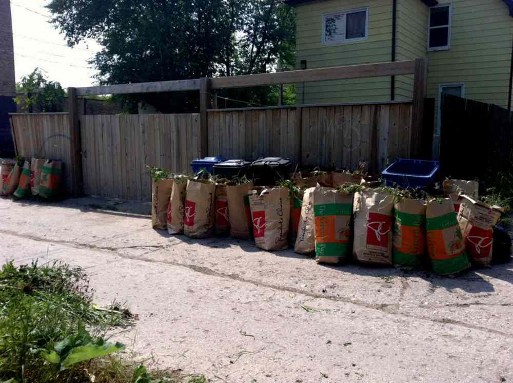 Cleaning the community park – Our Communities