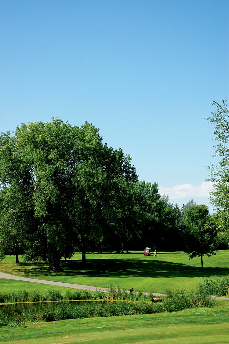 Minnesota courses a must for golfers – Our Communities