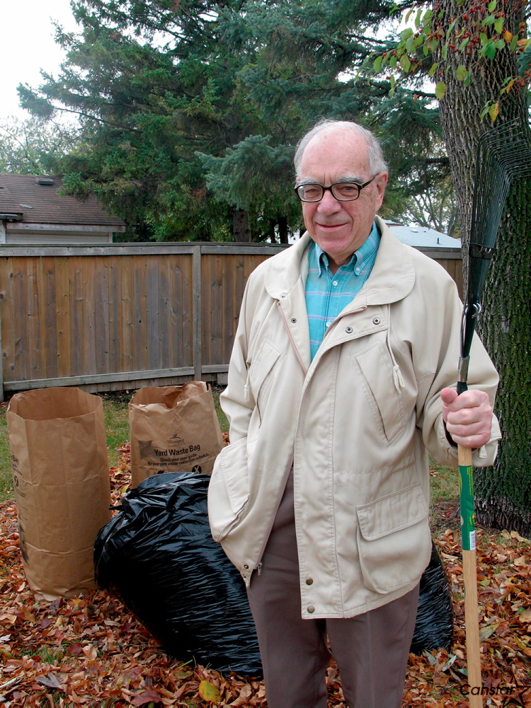 Too many leaves, nowhere to put them – Our Communities