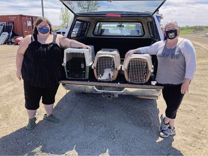 What’s One More helps save feral cat colony – Our Communities