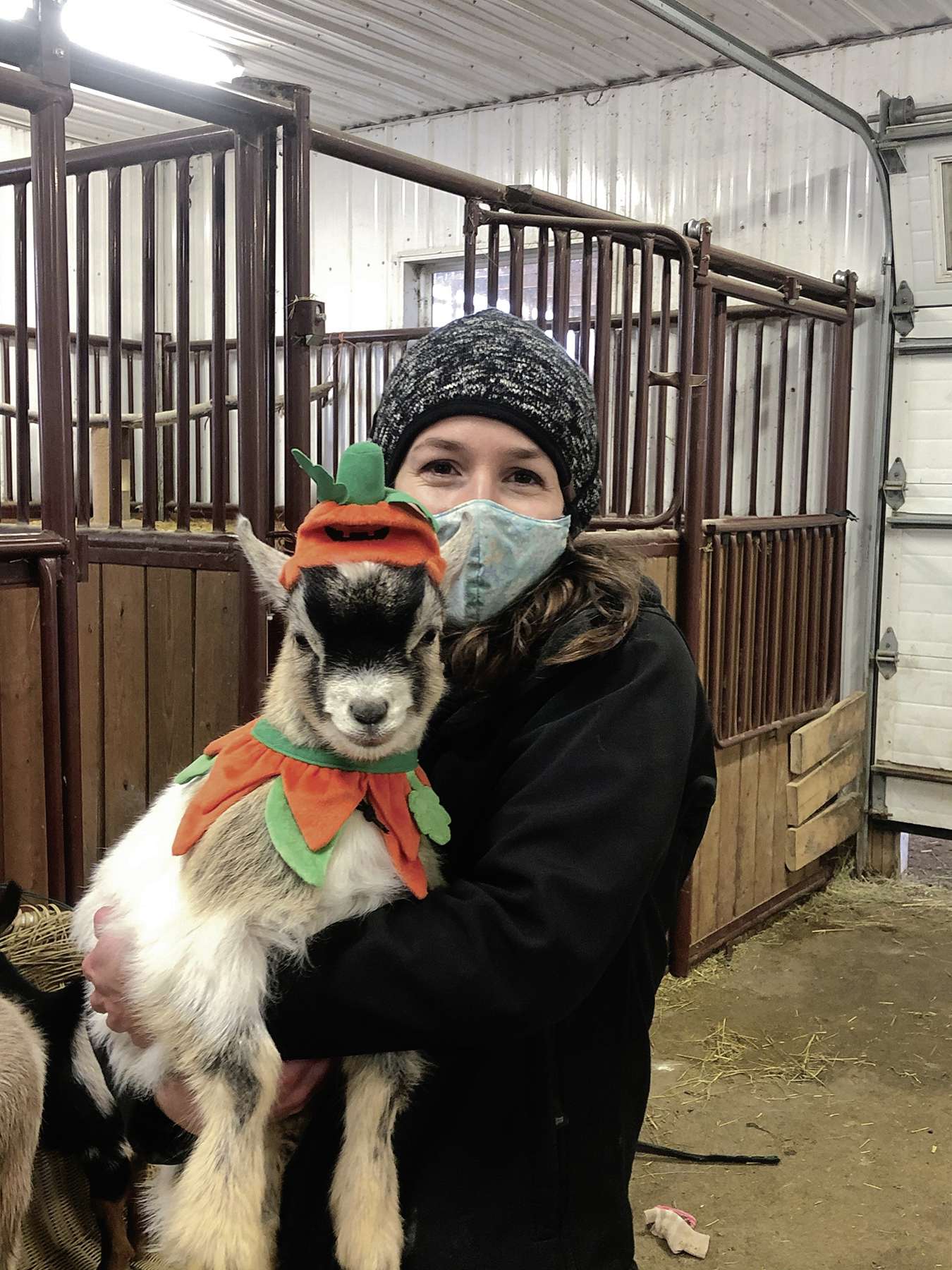 Rescued farm animals enjoy new lives – Our Communities