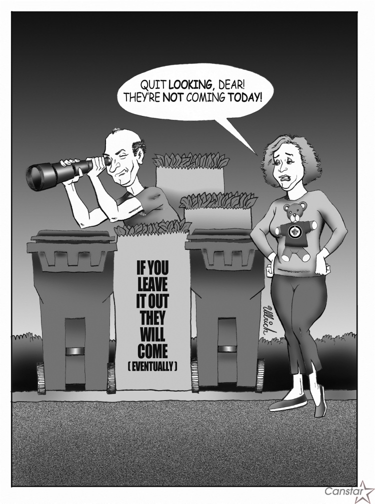Cartoon – Our Communities