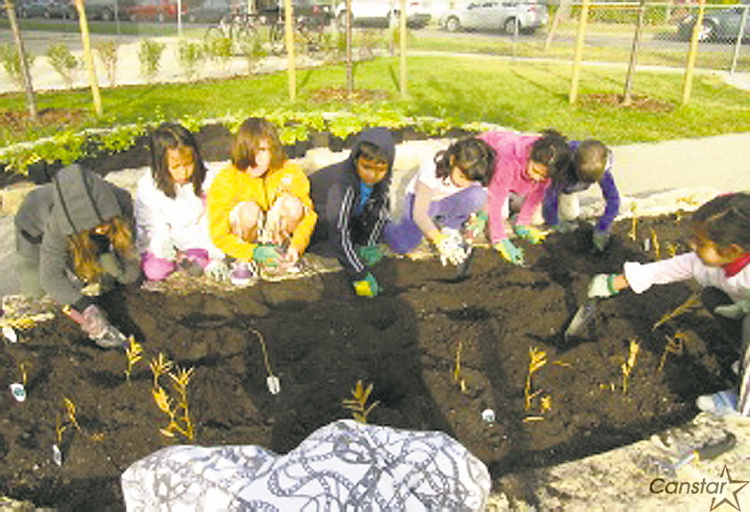Building community through beautification – Our Communities