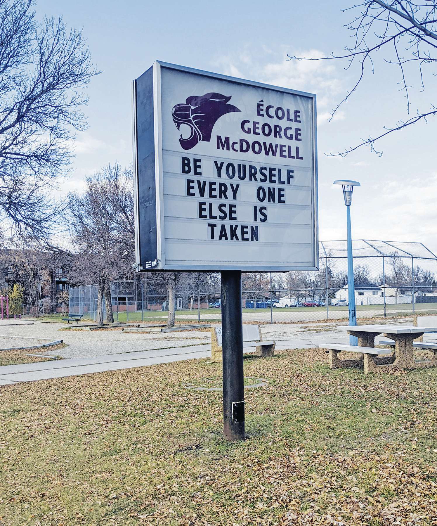Look into the soul of your local schools – Our Communities