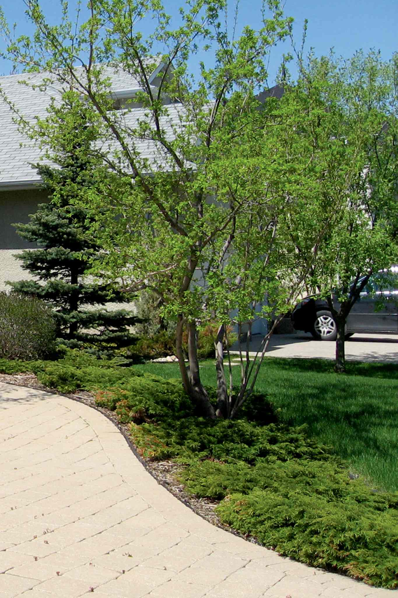 Less lawn is simply more – Our Communities