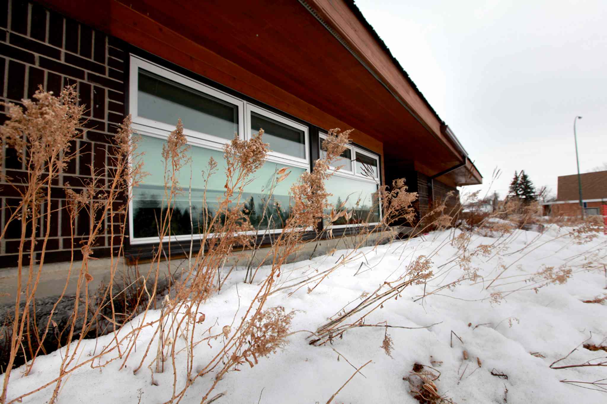 Make the best of cold weather with winter activities – Our Communities