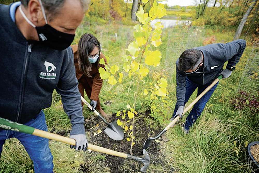 Setting the path to protect our tree canopy – Our Communities