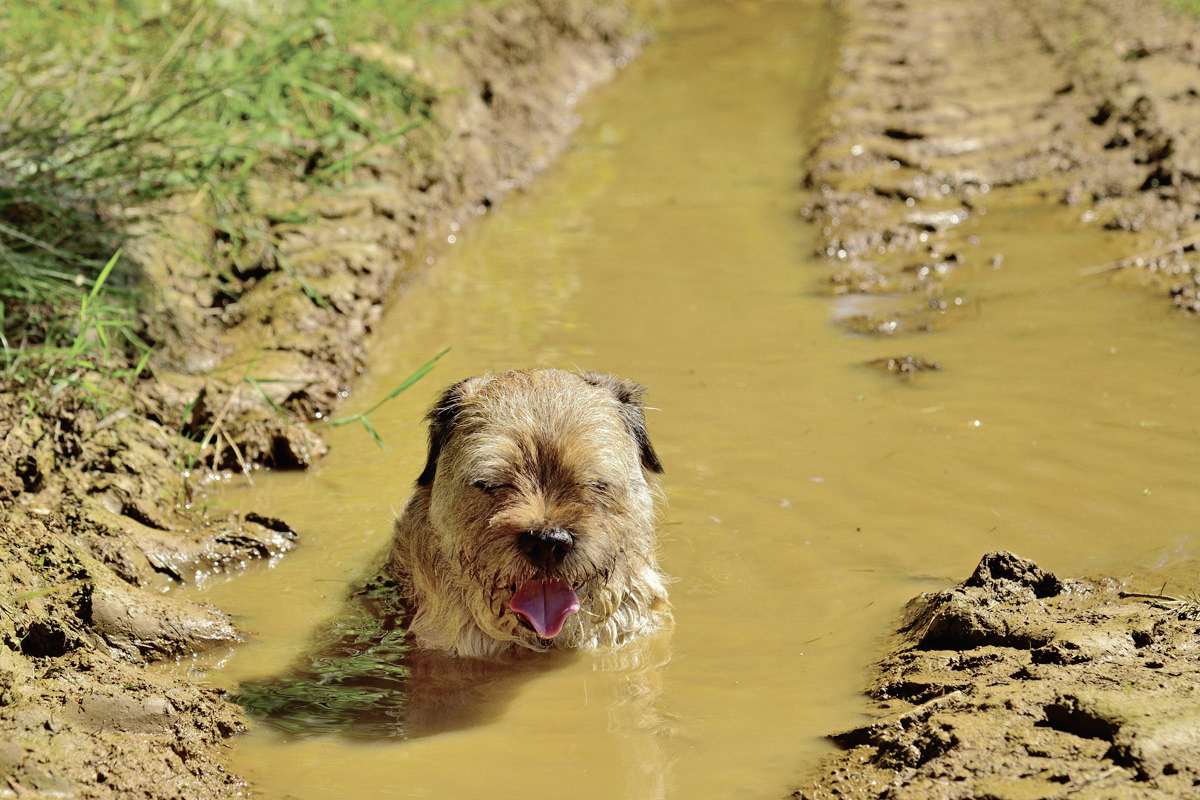 Dealing with a messy situation – Our Communities