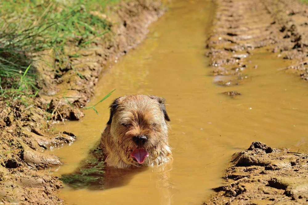 Dealing with a messy situation – Our Communities