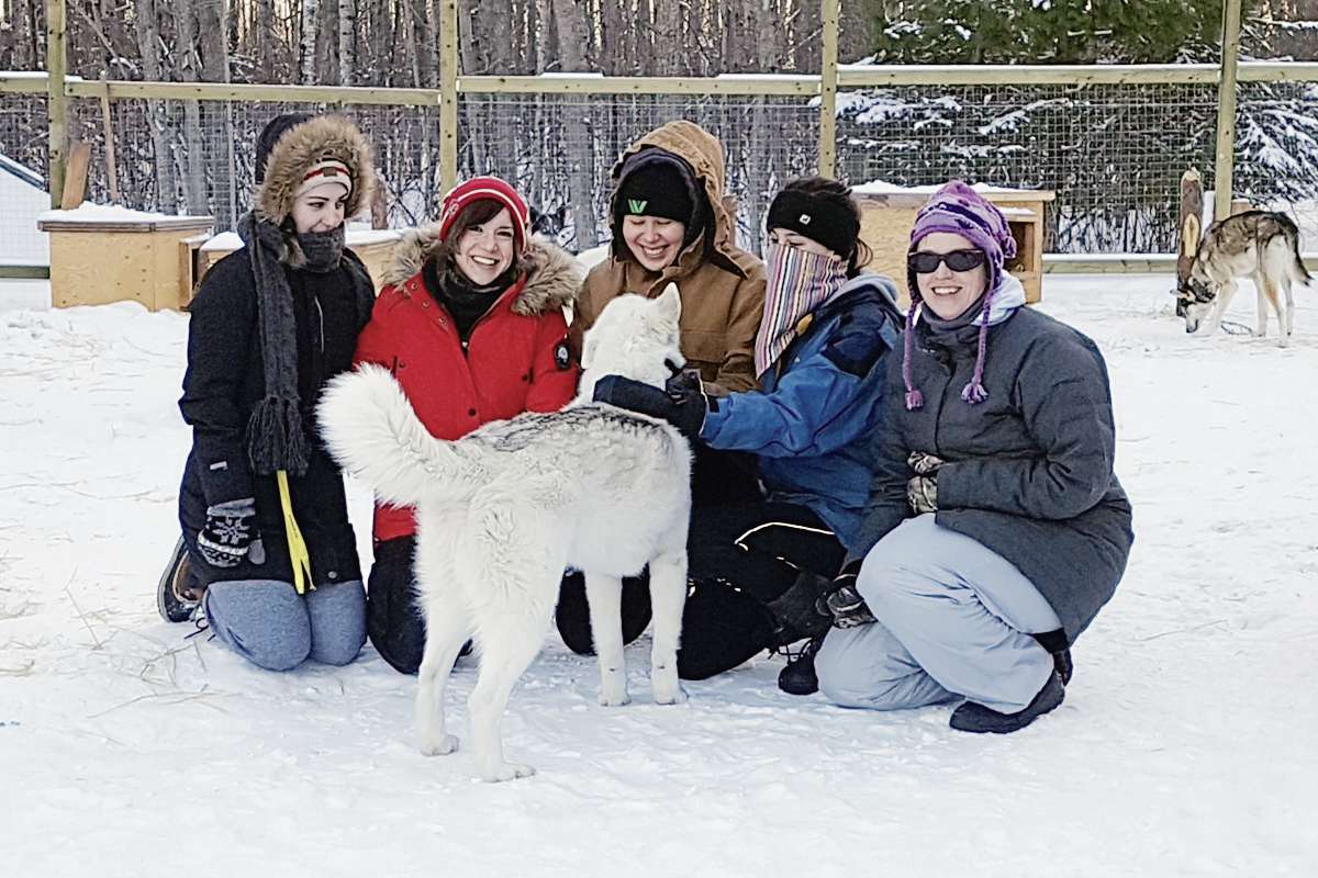 Amazing adventures with some very good dogs – Our Communities