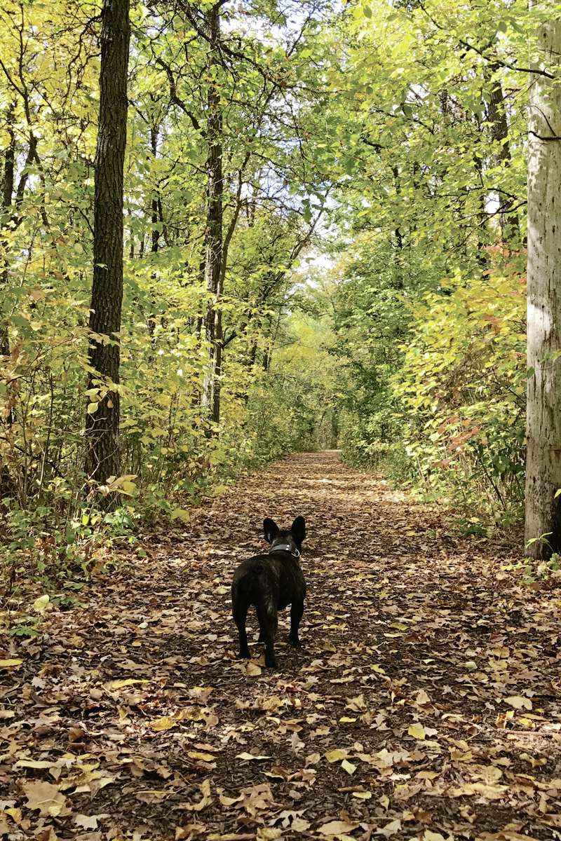 Giving our pets their close-up – Our Communities