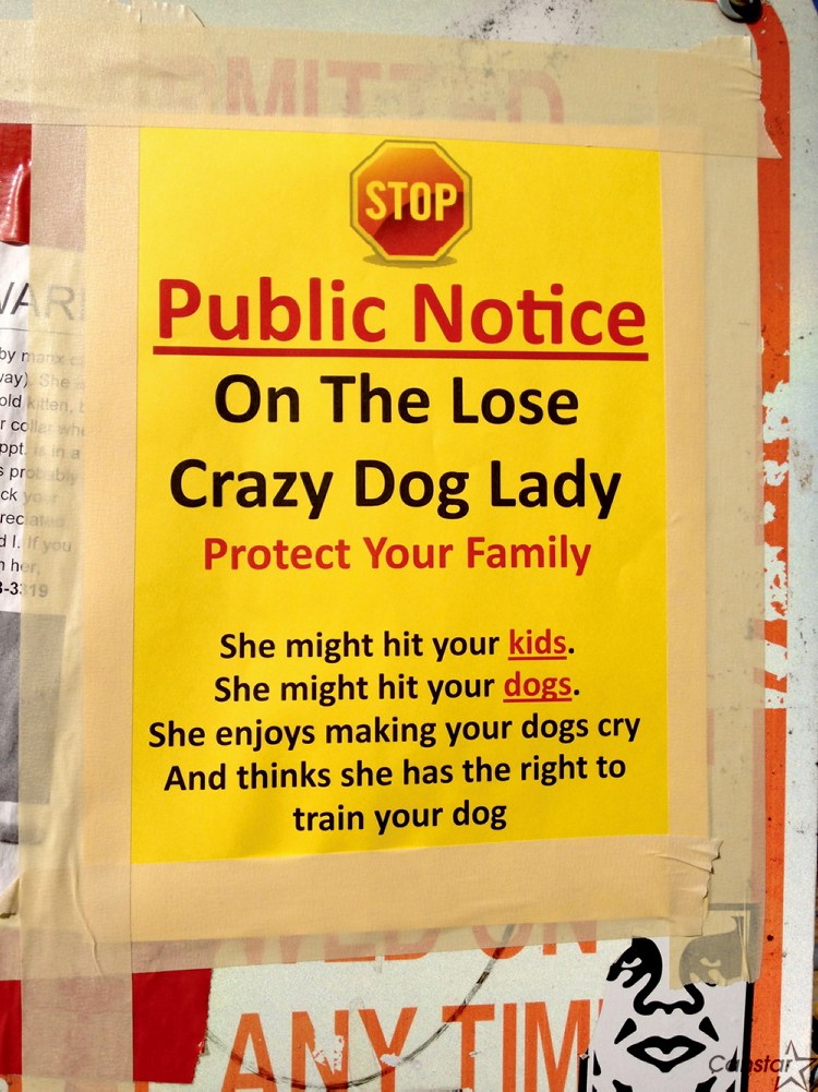 Be a proud pet parent – Our Communities