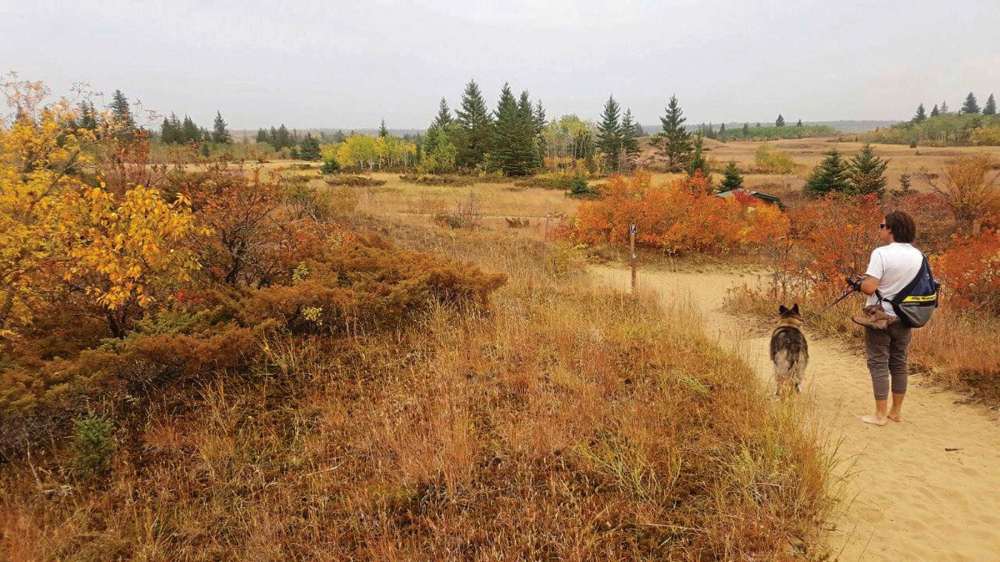 The hidden glory of Spirit Sands – Our Communities