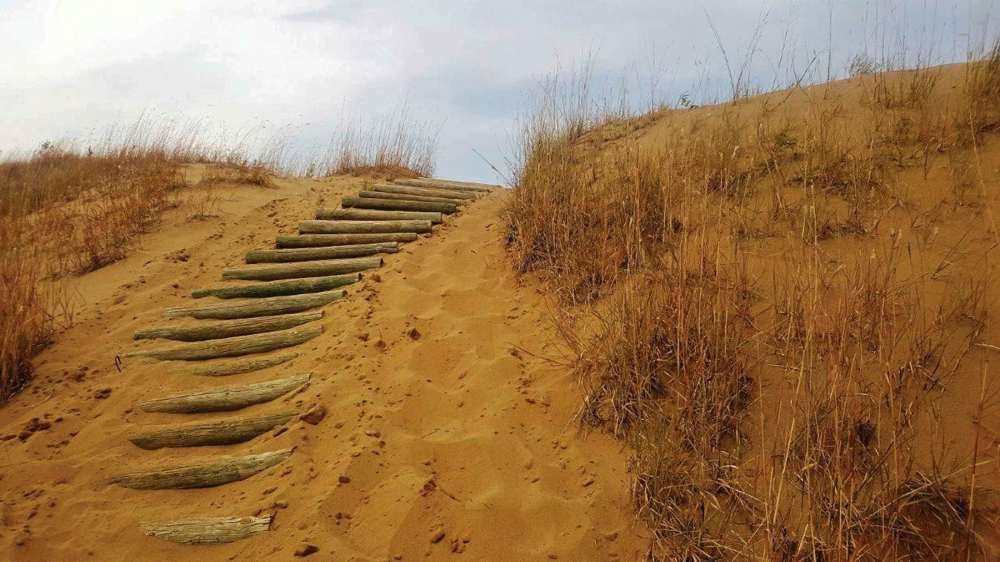 The hidden glory of Spirit Sands – Our Communities