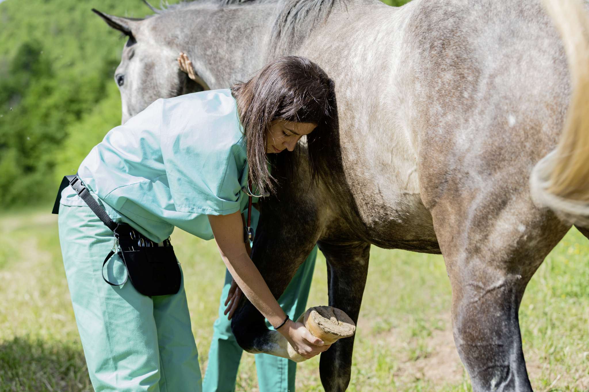 Keep an eye on your horses’ fetlocks – Our Communities