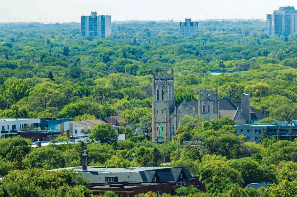 Maintaining our urban forest – Our Communities
