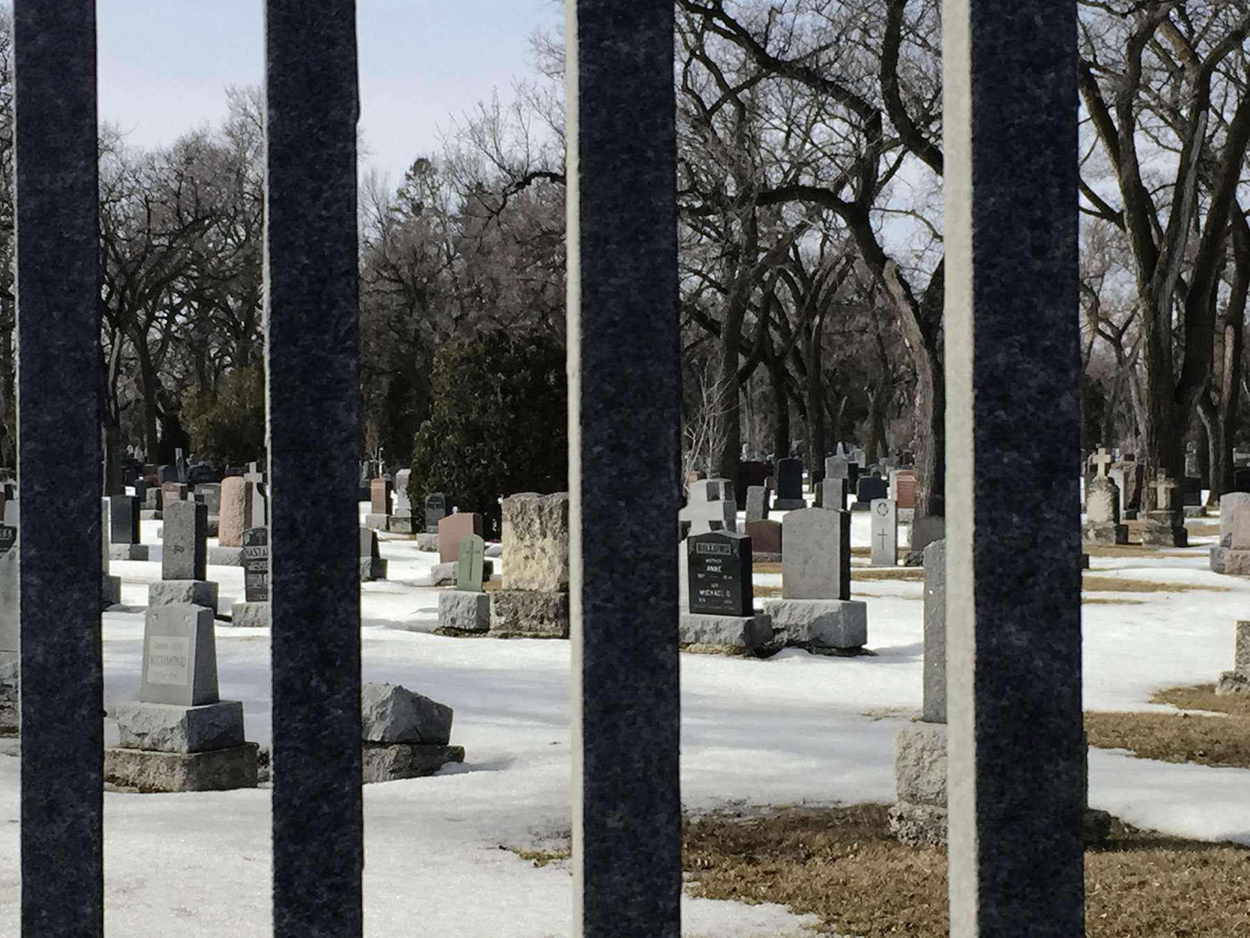 Elmwood Cemetery: History in 38 acres – Our Communities