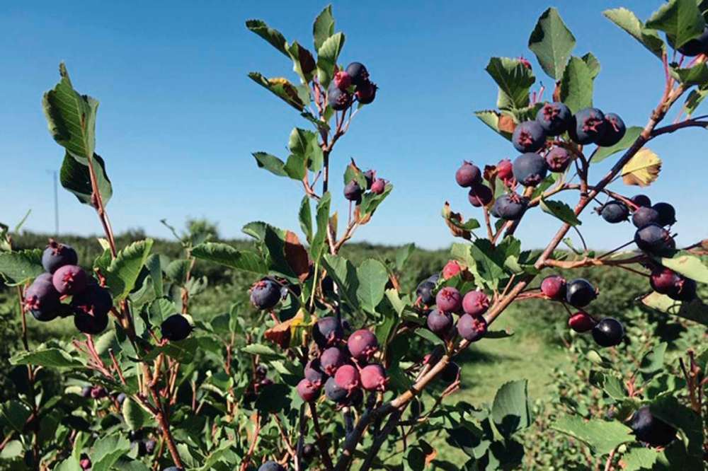 A piece of Heaven on Earth – Our Communities