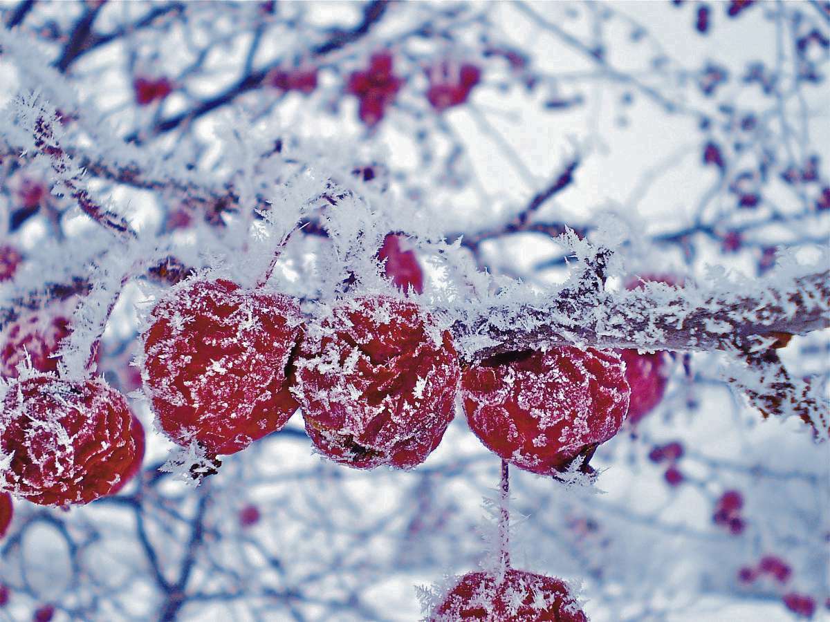 The wonderful chemistry of snow – Our Communities