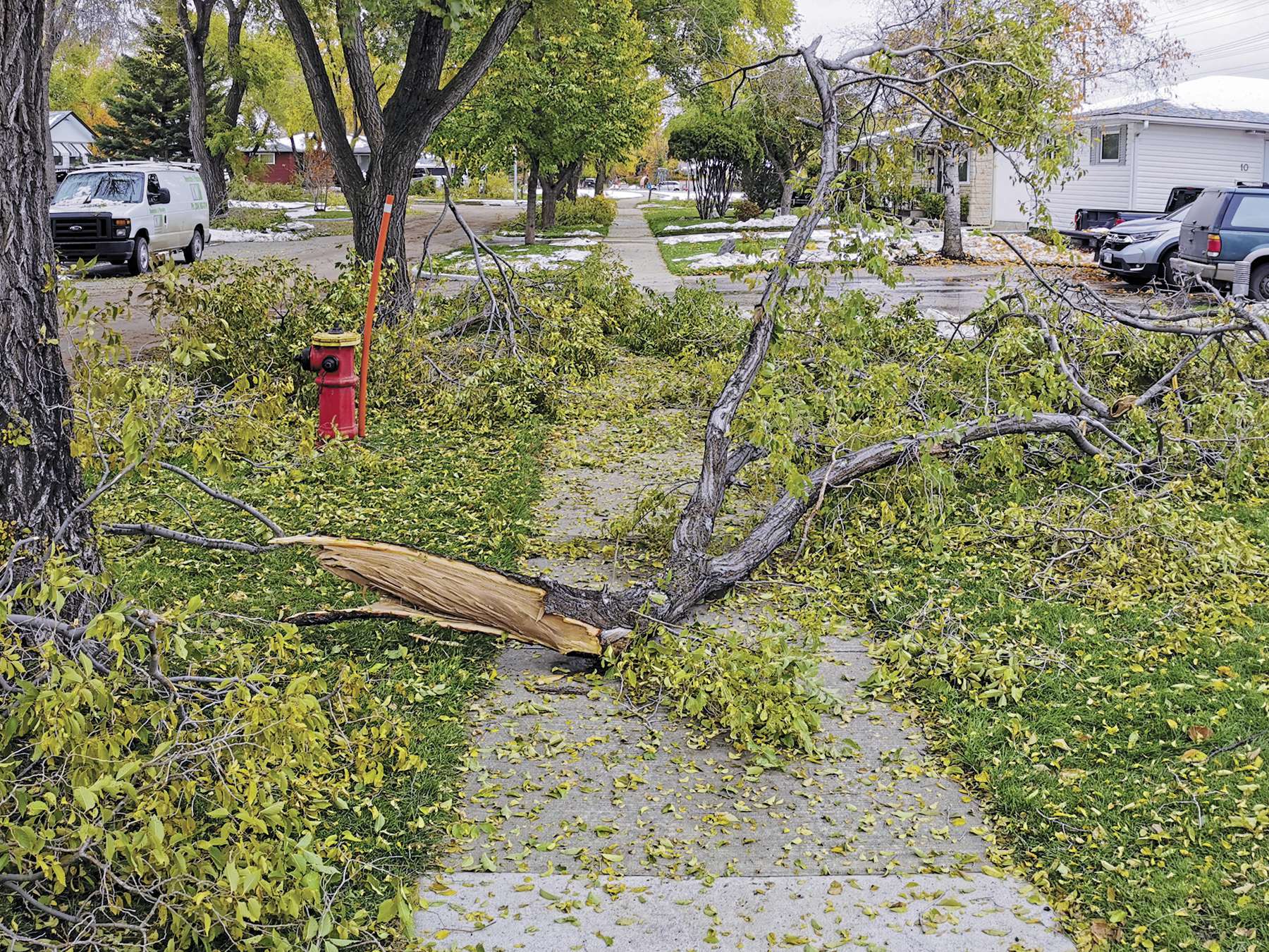 Dealing with the damage after storm – Our Communities