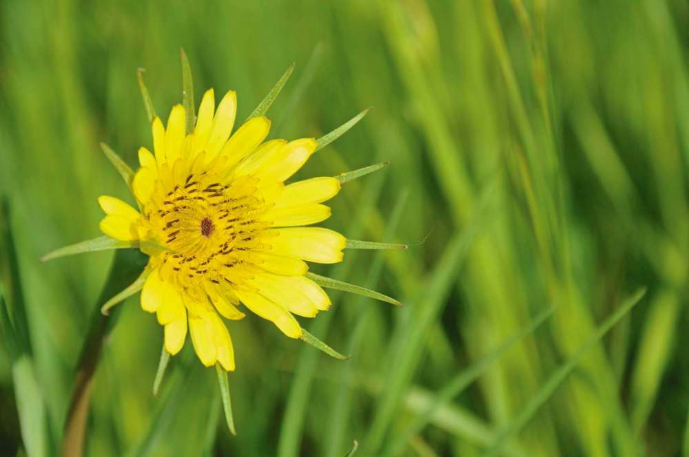 Medication vs. meditation – Our Communities