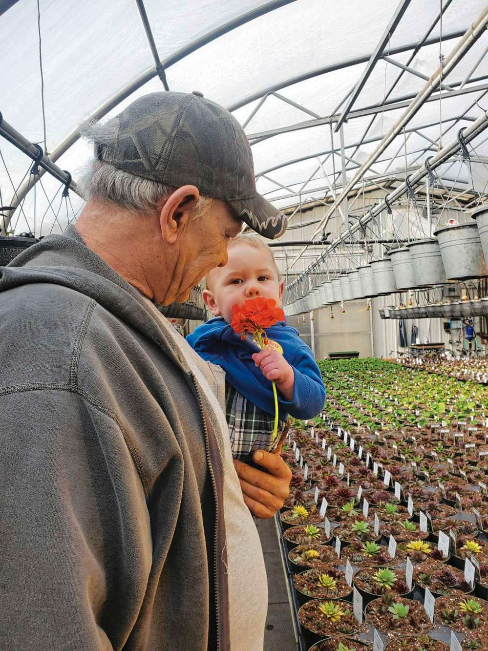 All in the family at Sumka Brothers Greenhouses – Our Communities