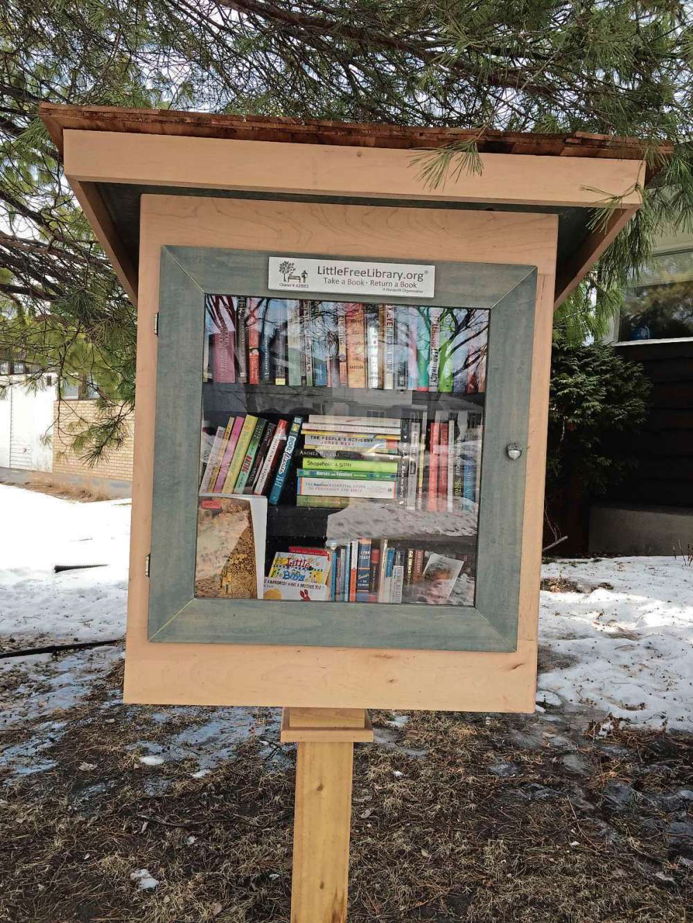 Little Free Libraries springing up everywhere – Our Communities
