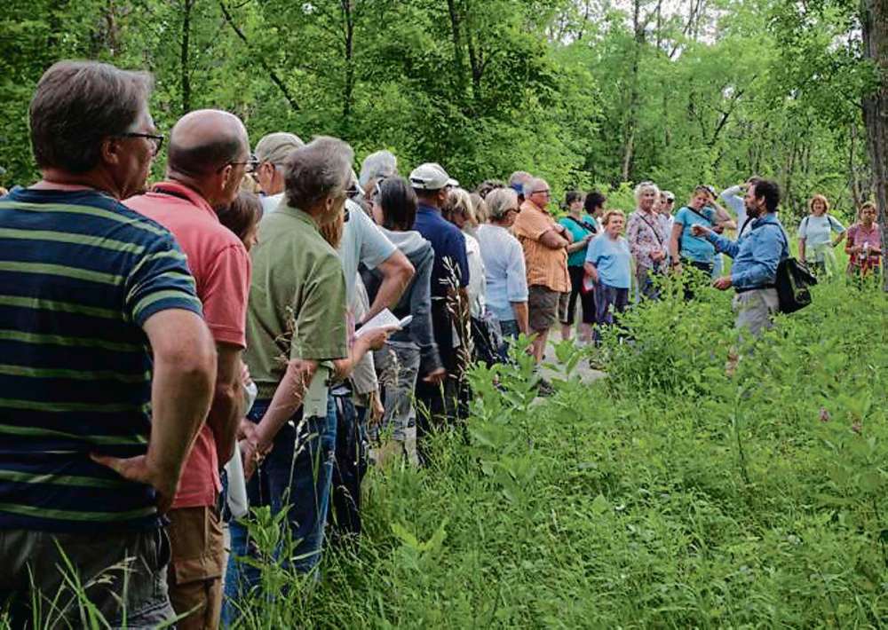 Botany walk reveals Seine secrets – Our Communities