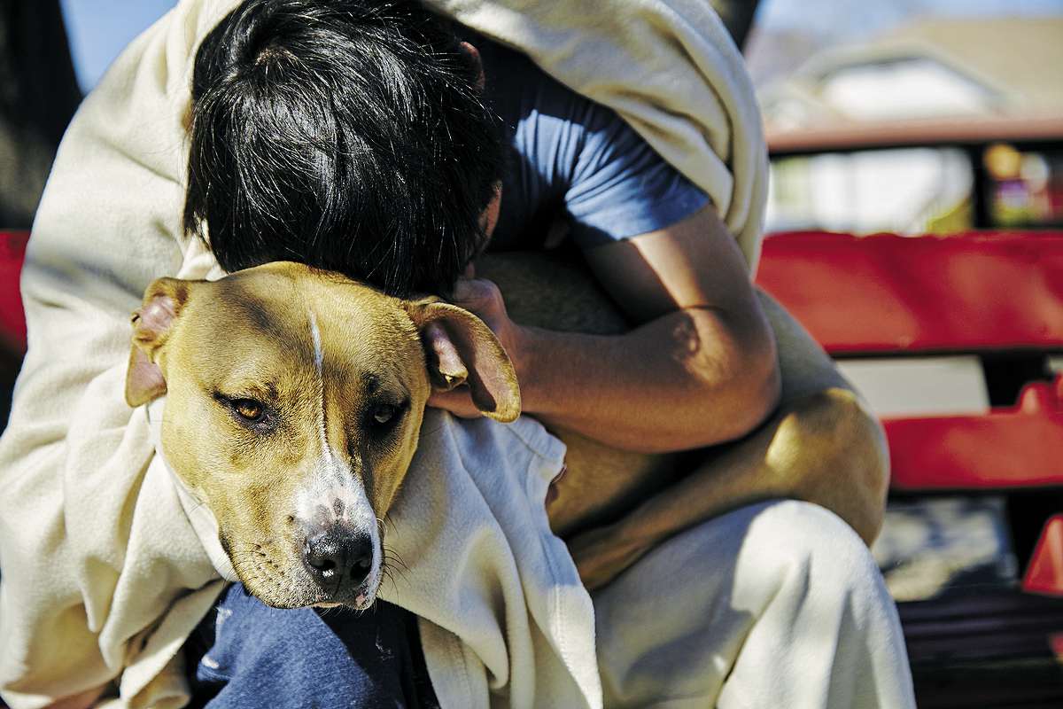 Humans and animals, living together – Our Communities