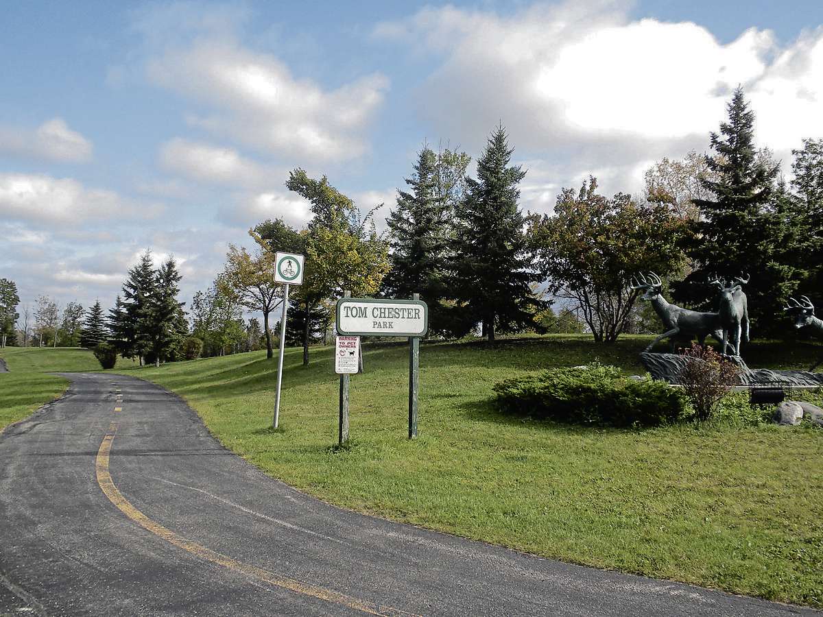 Discovering Tom Chester Park – Our Communities