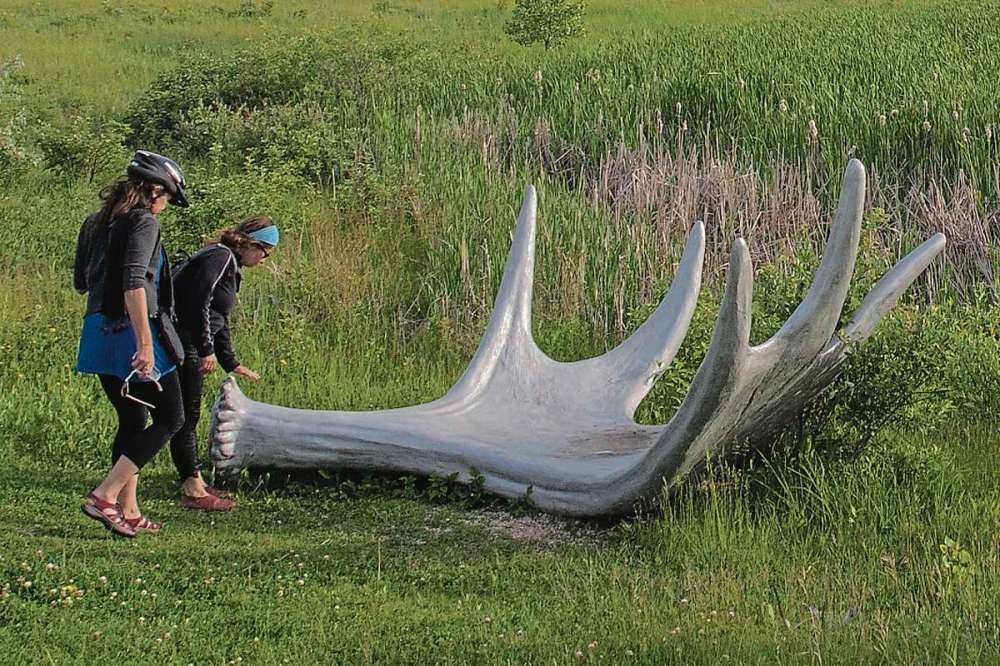 Art in the great outdoors – Our Communities