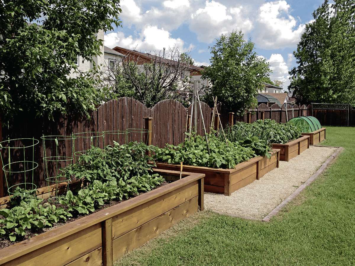 Community gardens good for everyone – Our Communities