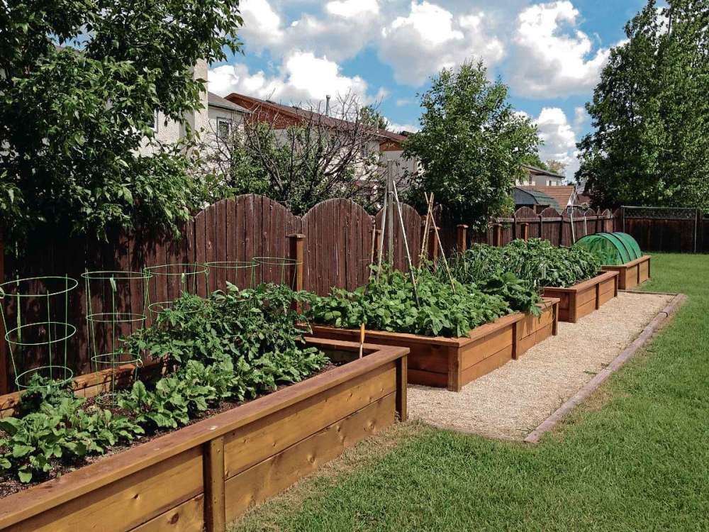 Community gardens good for everyone – Our Communities