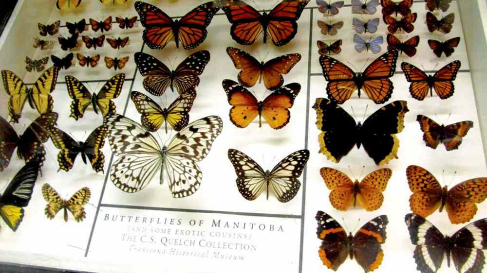 Explore the Transcona Historical Museum – Our Communities