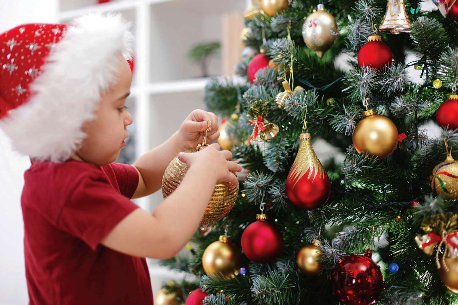The joy of trimming the tree for Christmas – Our Communities