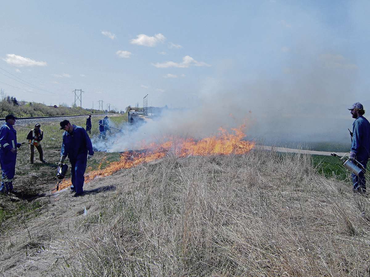 The benefits of holding a controlled prairie burn – Our Communities