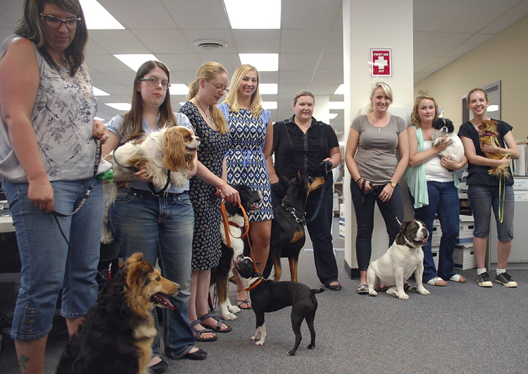 Working dogs – Our Communities
