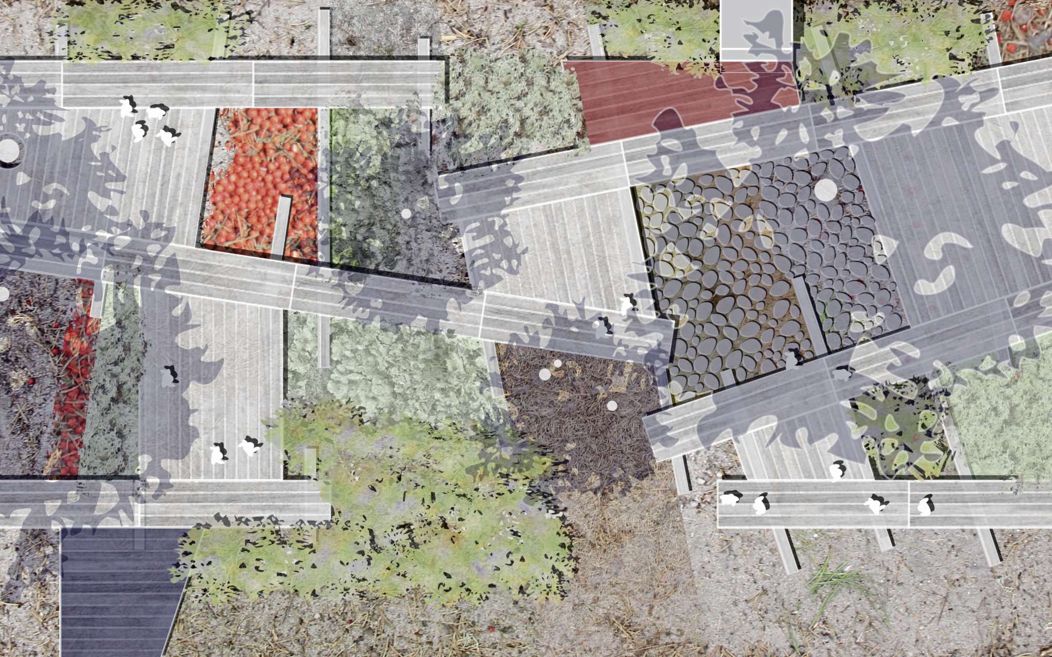 Natural elements used in courtyard design – Our Communities