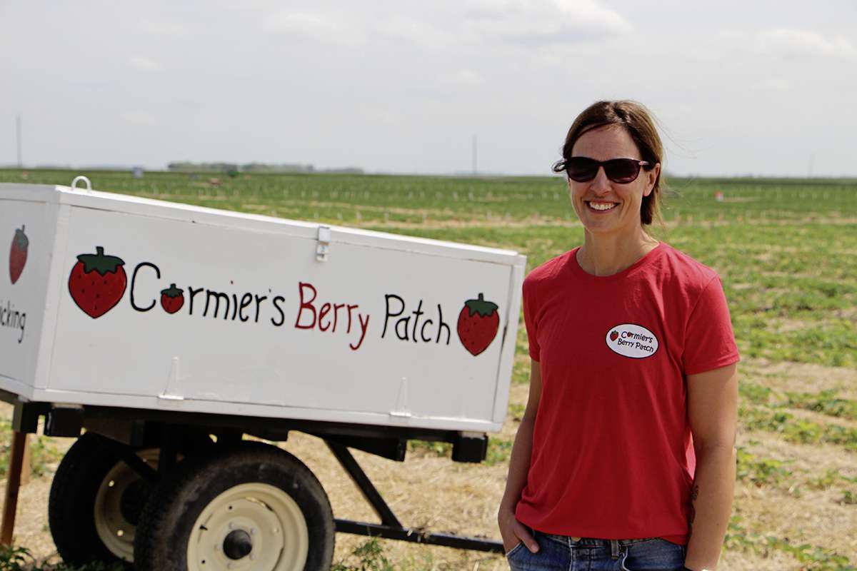 Farmers face strawberry shortage – Our Communities