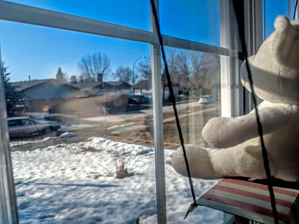 The bear necessities – Our Communities