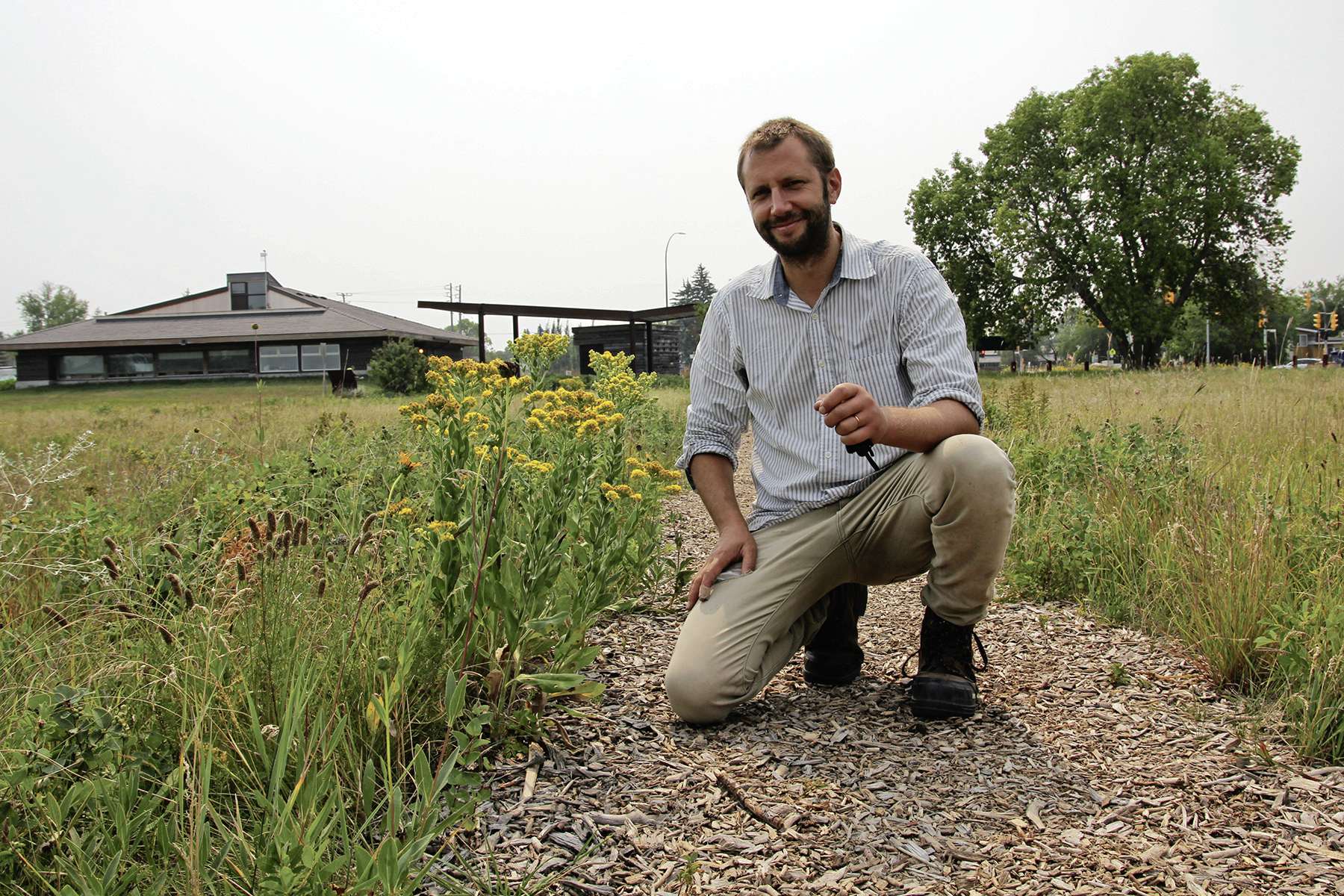 Summer lives on at urban prairie preserve – Our Communities